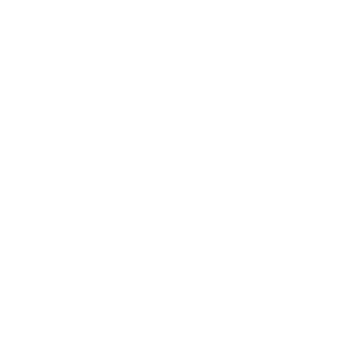 CV Carlos Diego Octavio Mtz Macias